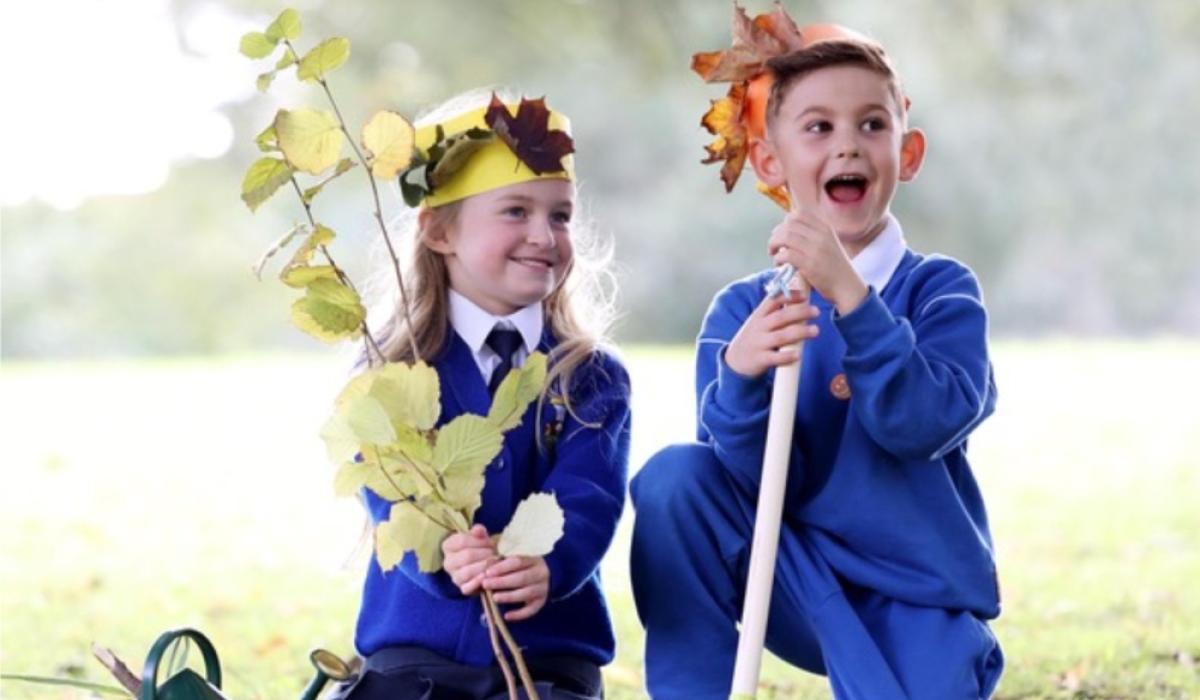 Free trees for Kildare Schools on National Tree Day - Kildare Now