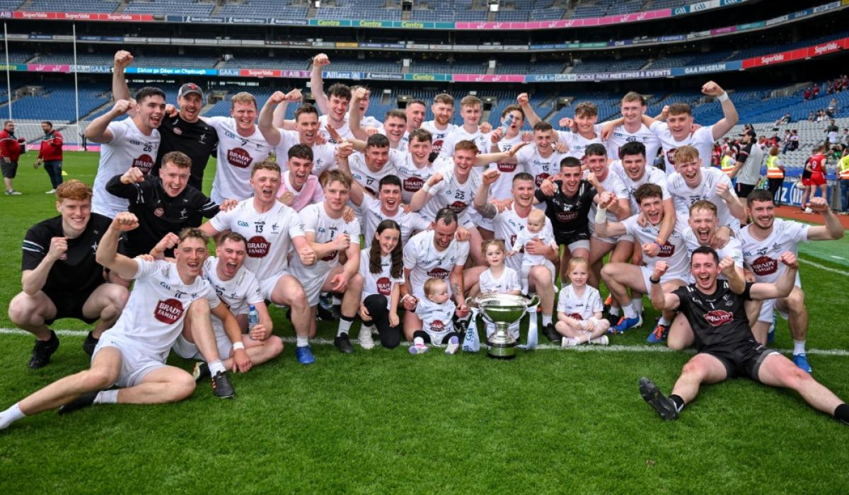 Five Kildare hurlers on Champion 15 from stars across Ring, Rackard ...