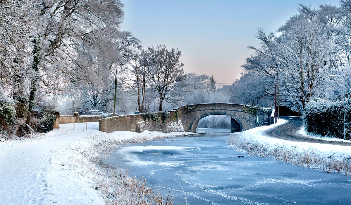 Local artist unveils iconic selection of local scenes - Kildare Now