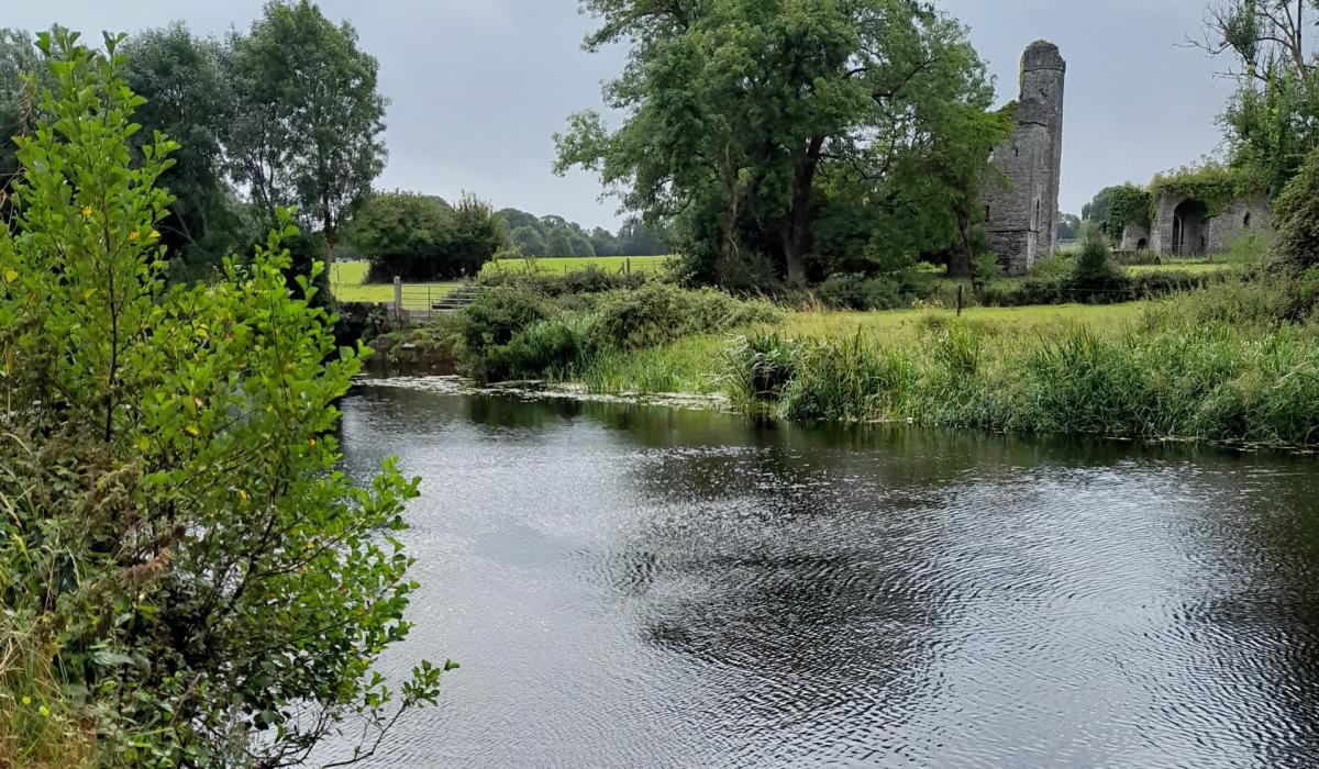 Pedestrian bridge must be built over the River Liffey in Kildare ...