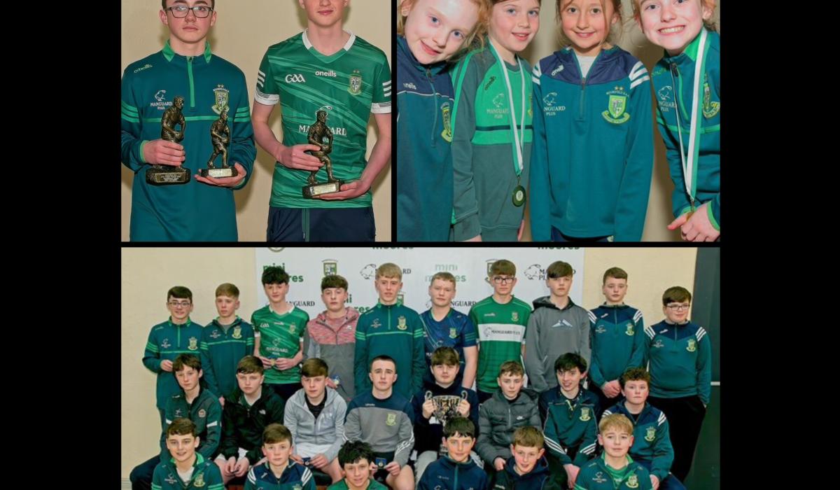 PICTURES: Players of the year announced at Newbridge GAA Club - Page 1 ...