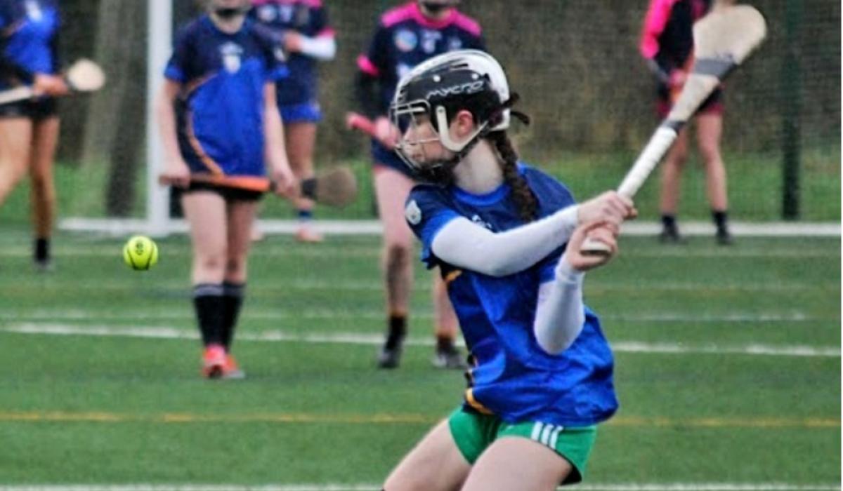 Kildare school set for All-Ireland camogie final this weekend - Kildare Now