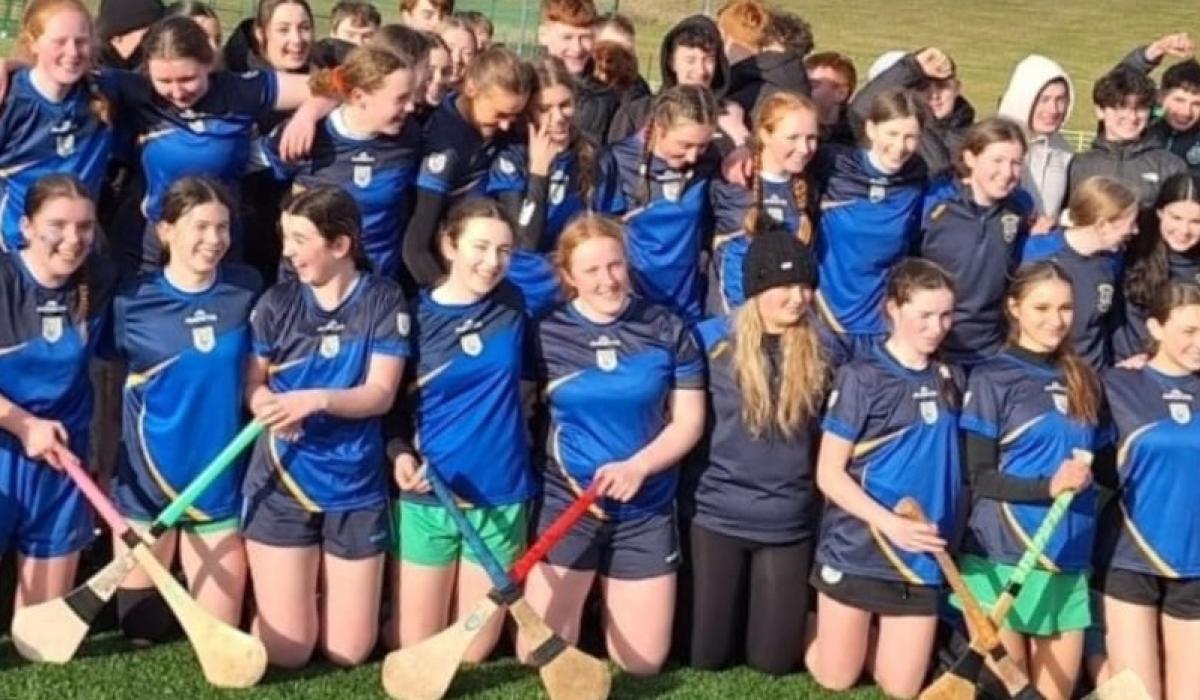 Kildare school pipped in camogie All-Ireland final - Kildare Now