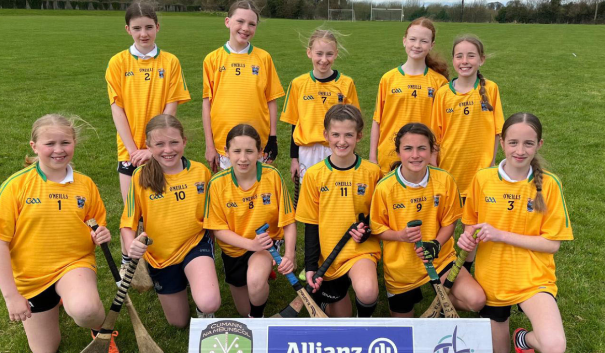 PICTURES: Check out Kildare's GAA stars of the future - Page 3 of 16 ...