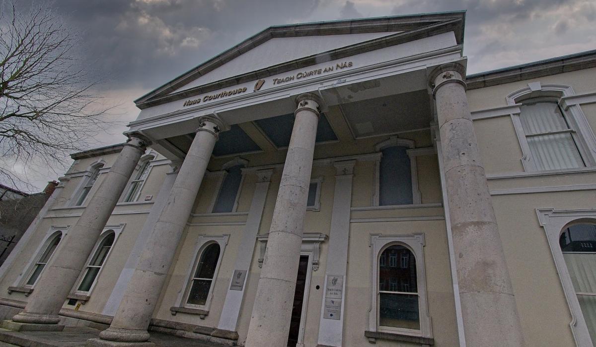 Kildare garda called a 'f...... pig into his face' as a vehicle was ...