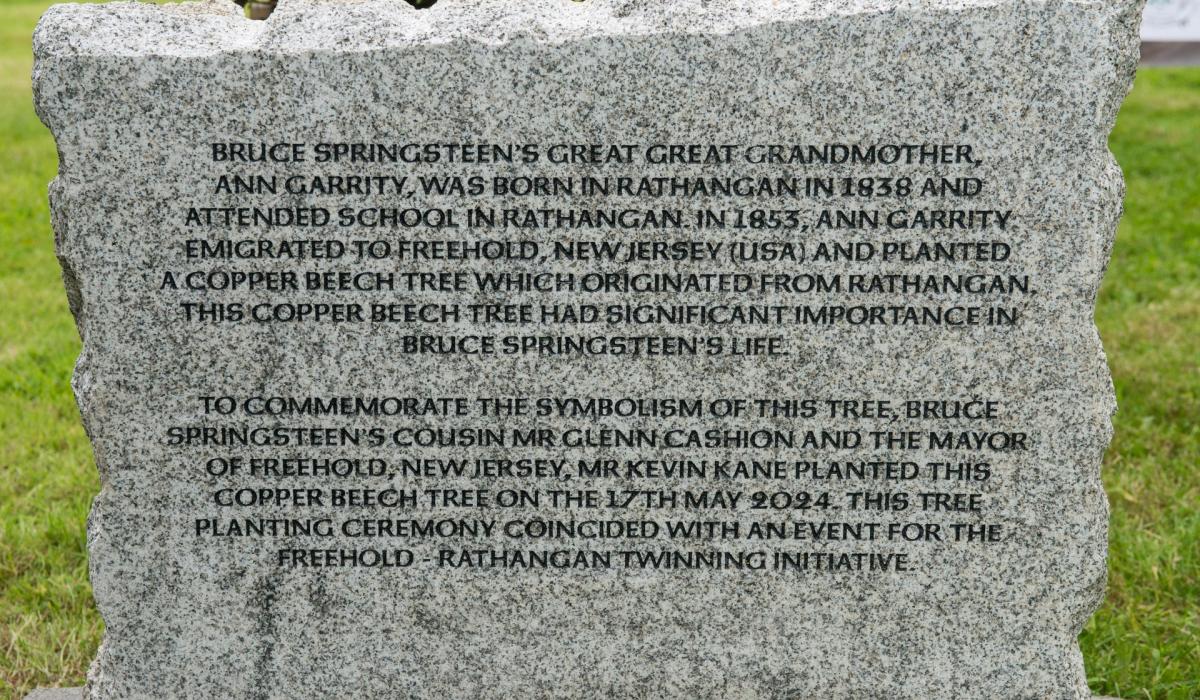 GALLERY: Plaque unveiled in this Kildare town to mark official twinning ...