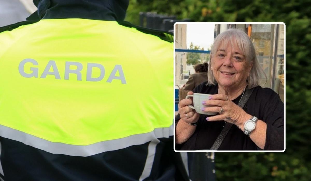 ALERT: Urgent Garda appeal for missing Kildare woman - Kildare Now