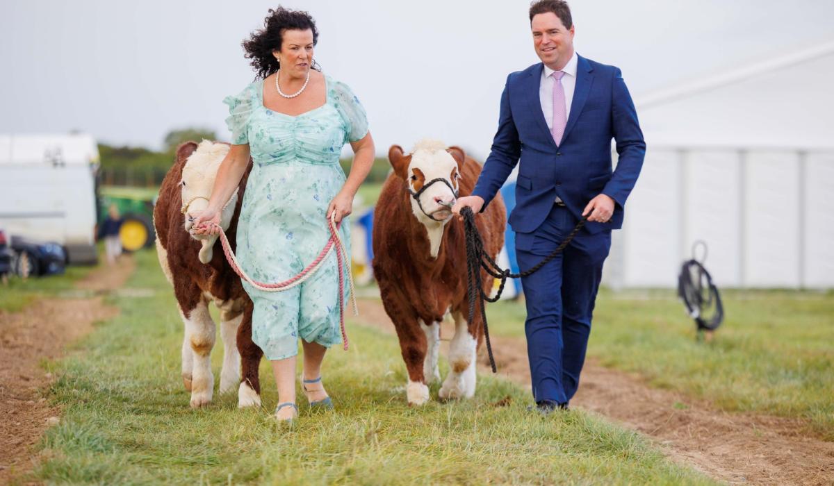 Thousands of Kildare people heading to Ploughing Championships next ...