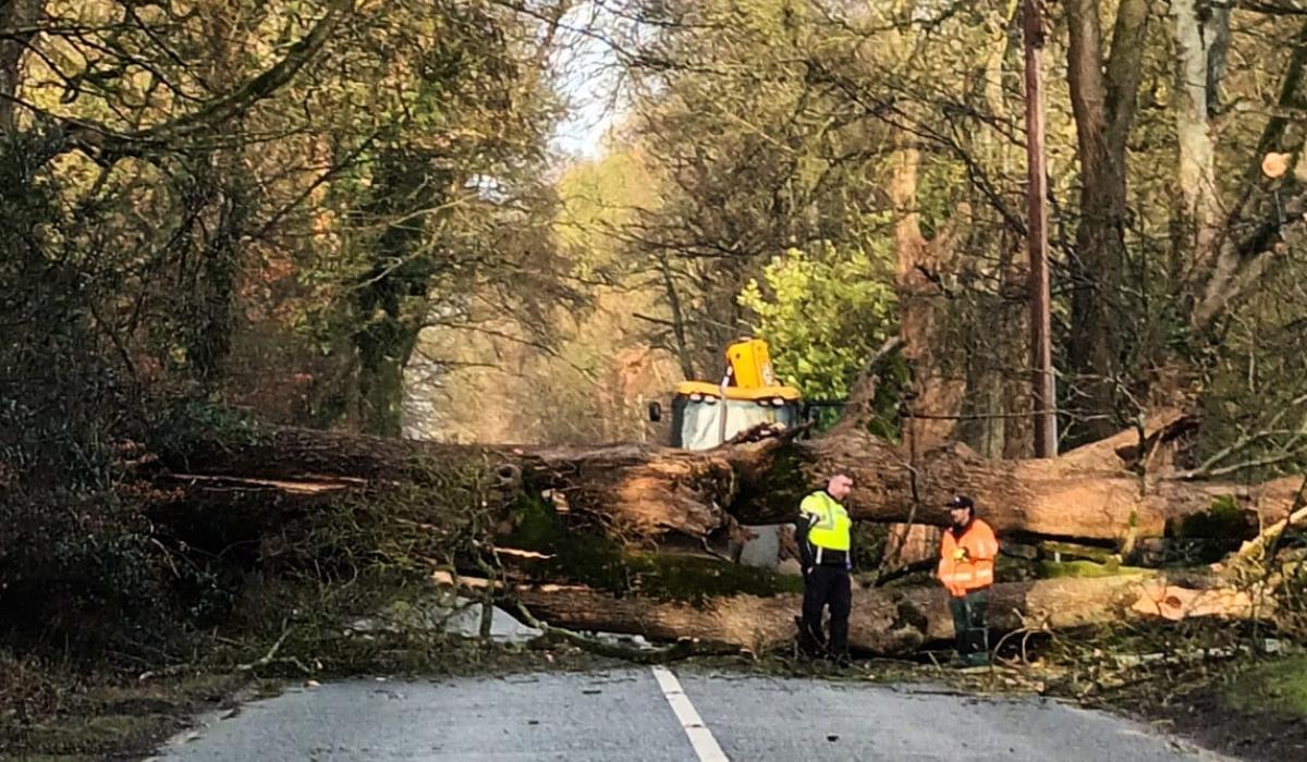 STORM ISHA: Warning to road users to "expect the unexpected" - Kildare Now