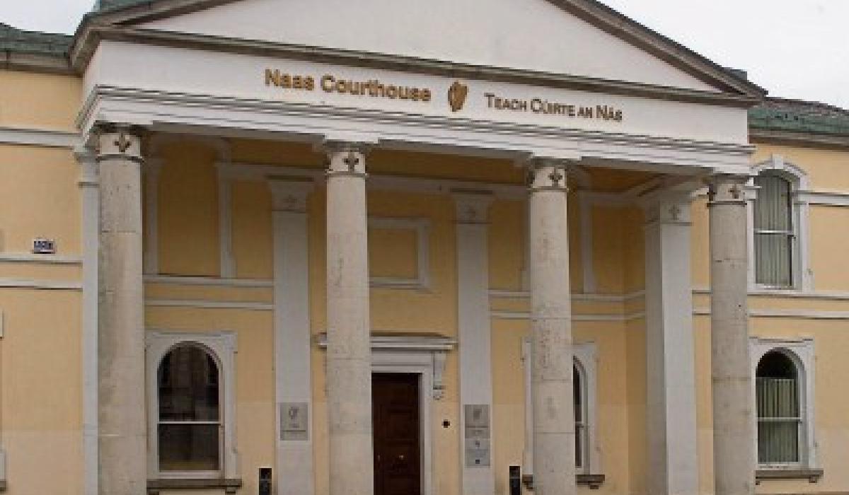 Forensics delay raised in Donadea drugs case prosecution - Kildare Now