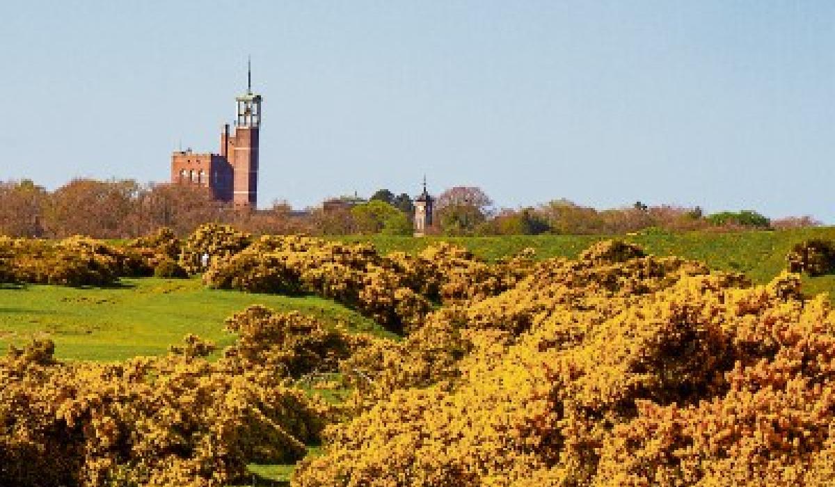 Curragh primary schools amalgamation consultation - Kildare Now