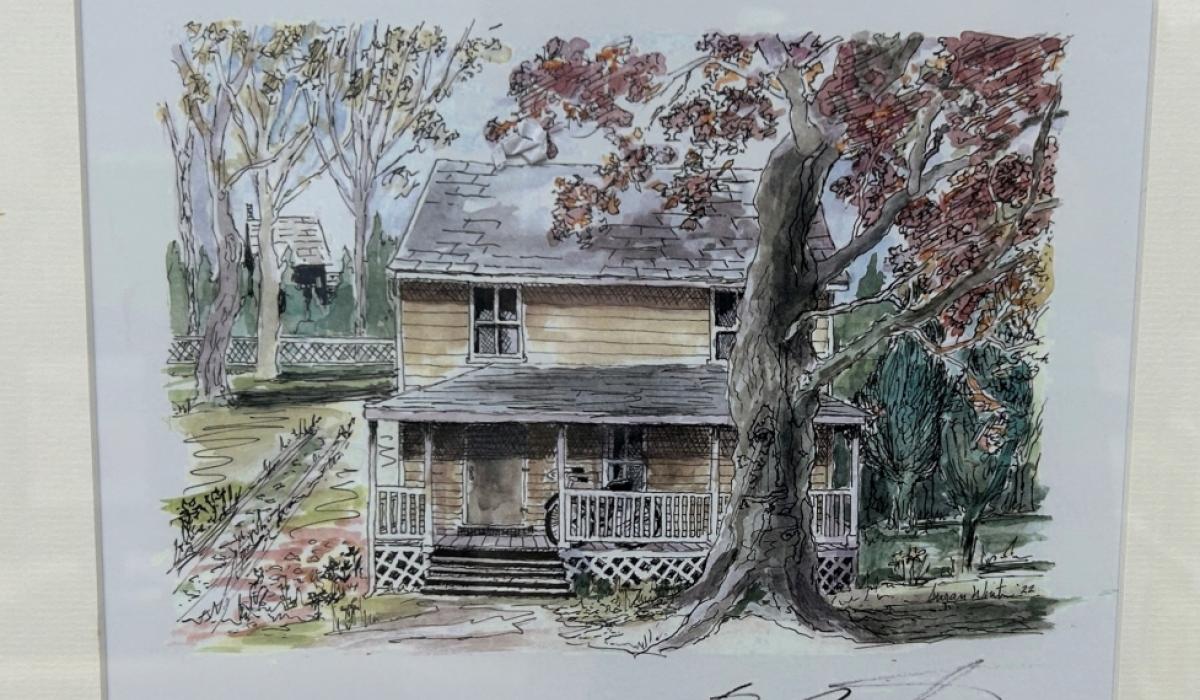 Painting of Bruce Springsteen's childhood home unveiled last night in ...