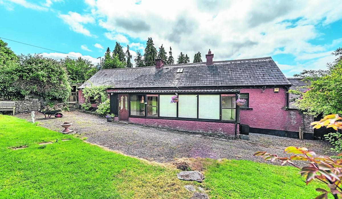 KILDARE PROPERTY WATCH: Charming rustic Naas cottage to go under the ...