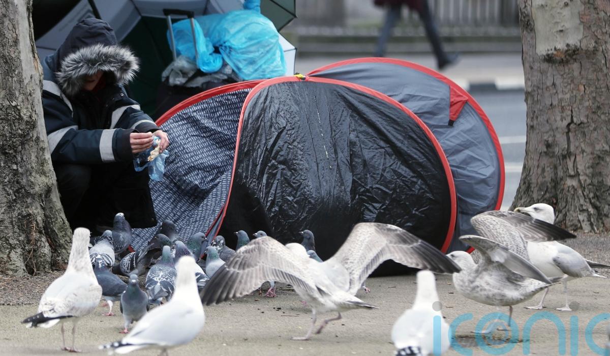 Ireland’s homeless figures reach new record high - Kildare Now
