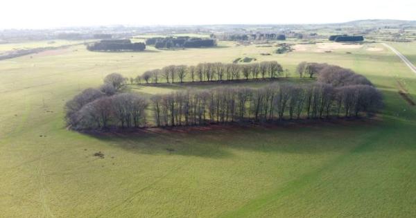 Have your say: Public to be asked for their views on future of Curragh ...