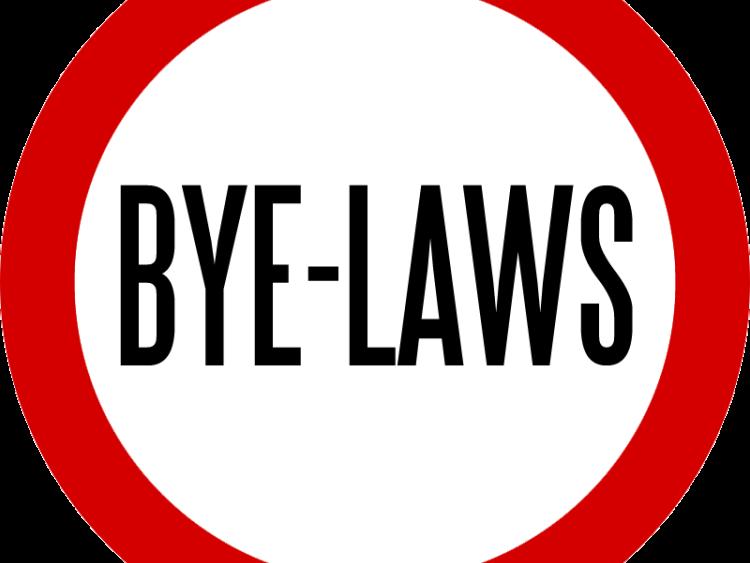 New Proposals For Bye laws In A Co Kildare Town Kildare Now new-proposals-for-bye-laws-in-a-co-kildare-town-kildare-now