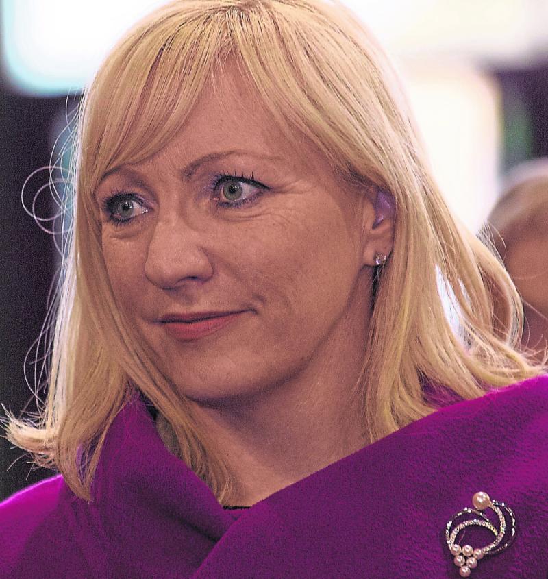 Newbridge needs better outdoor amenities, Kildare politician tells ...