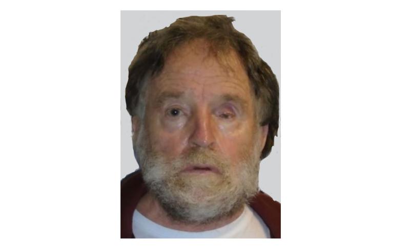 Appeal to trace missing man aged in his 60s - Kildare Now