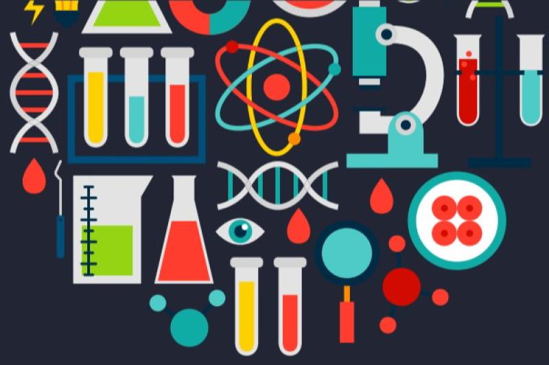 Virtual Science Festival from Kildare Libraries will feature science of ...