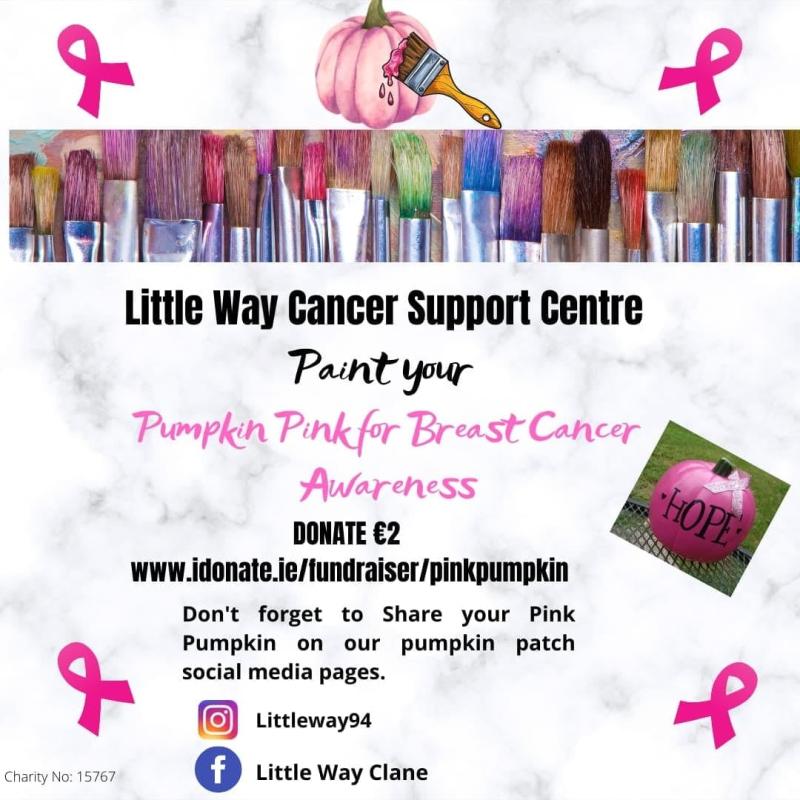 Paint your pumpkin pink for breast cancer awareness with Kildare cancer ...