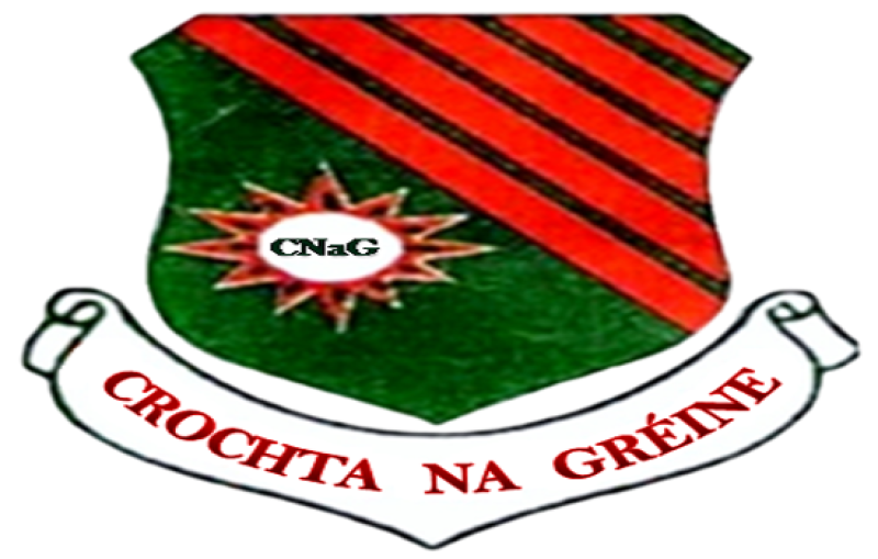 Suncroft survive late rally by Confey to reach last four in Minor B ...