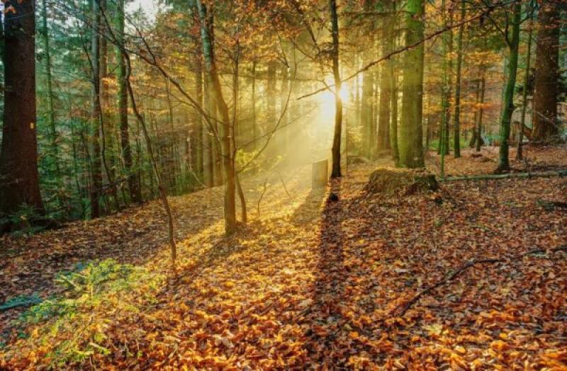 Bright and sunny weather to start the weekend as weather remains mild ...