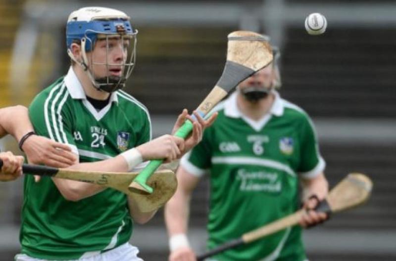 Former Limerick hurler joins Tipp native on the bench for Kildare's ...