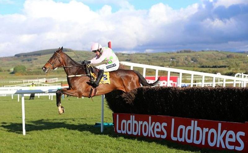 Attraction of Douvan set to draw large crowd to Punchestown this Sunday ...