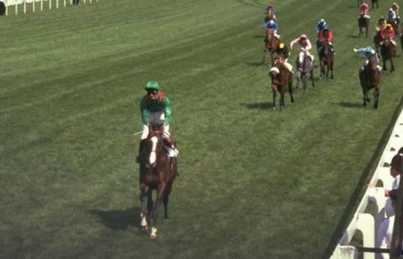 Where is Shergar? Today marks the 34th anniversary of his disappearance ...