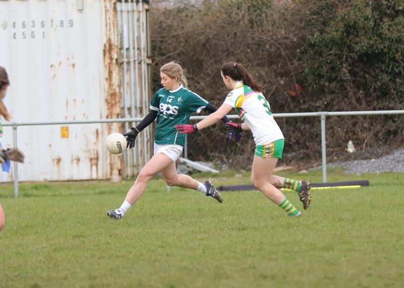 7 Kildare players selected for Leinster ladies panel for ...