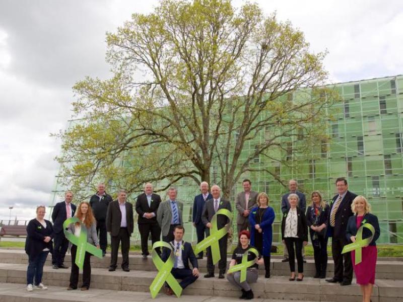 The Oak Tree at Aras Cill Dara and Kerry Group Naas to light up Green ...