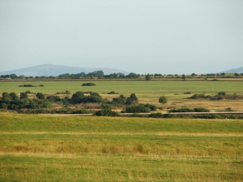 Mayor of Kildare seeking urgent meeting with Minister for Defence on ...