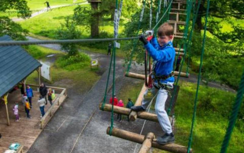 KILDARE: Adventure activity course gets approved for Donadea Forest ...