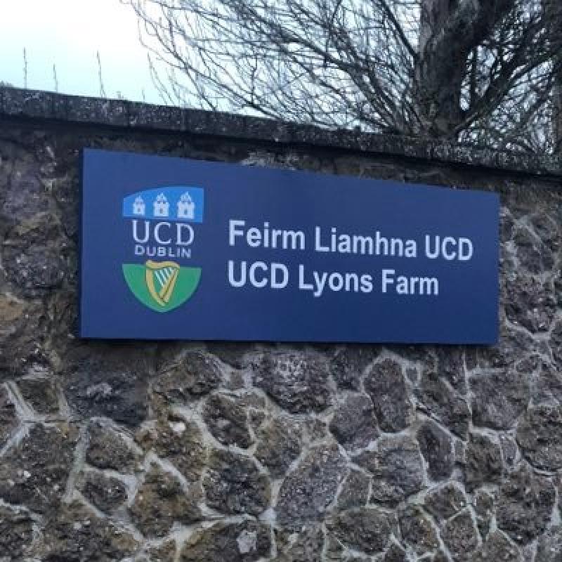 €200k shed being build by UCD Lyons Farm in Kildare - Kildare Now