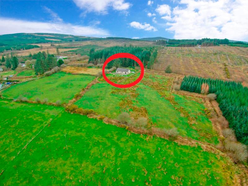 Have You Seen This in Kildare? €100k home in wild countryside is 15 ...