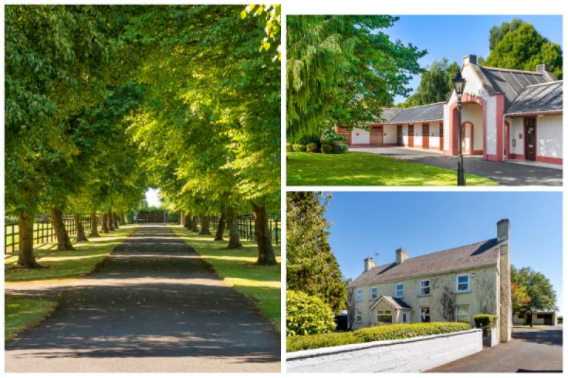 LATEST: Two Kildare stud farms go under hammer with combined guide ...