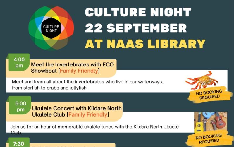 Naas Library announce exciting events for Culture Night 2023 - Kildare Now