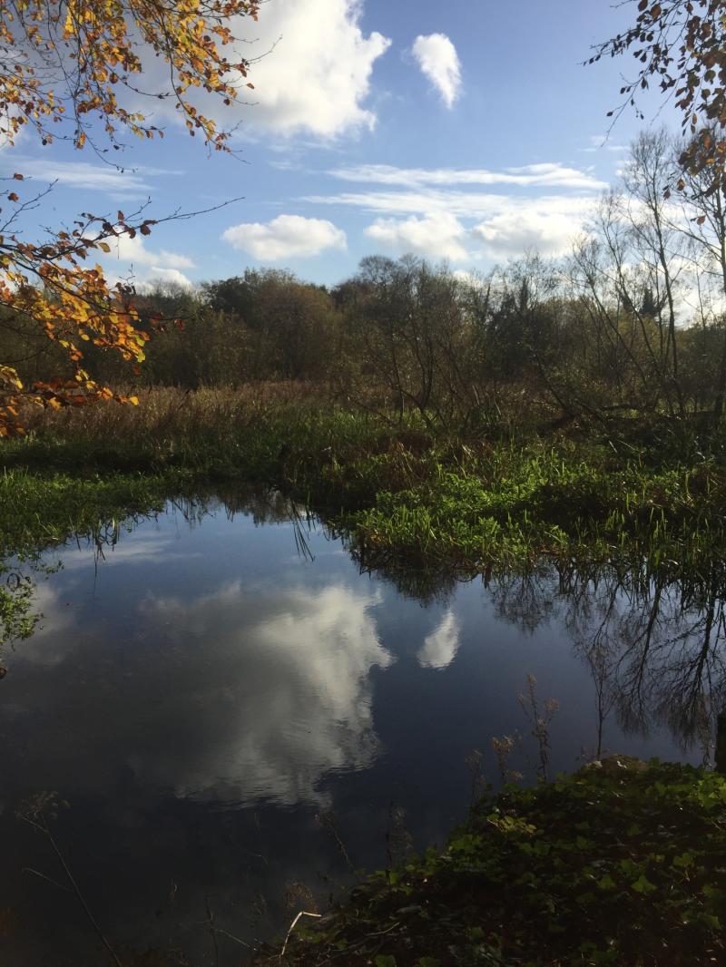 KILDARE: No parking spaces will be available at new public amenity in ...