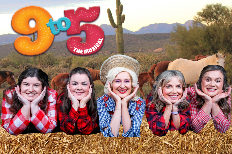 Naas Musical Society's ‘9 to 5’ the musical opens on this Saturday ...