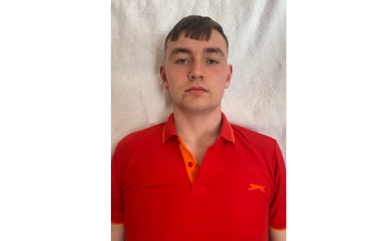 Gardaí concerned for missing boy's welfare as third week approaches - Kildare Now