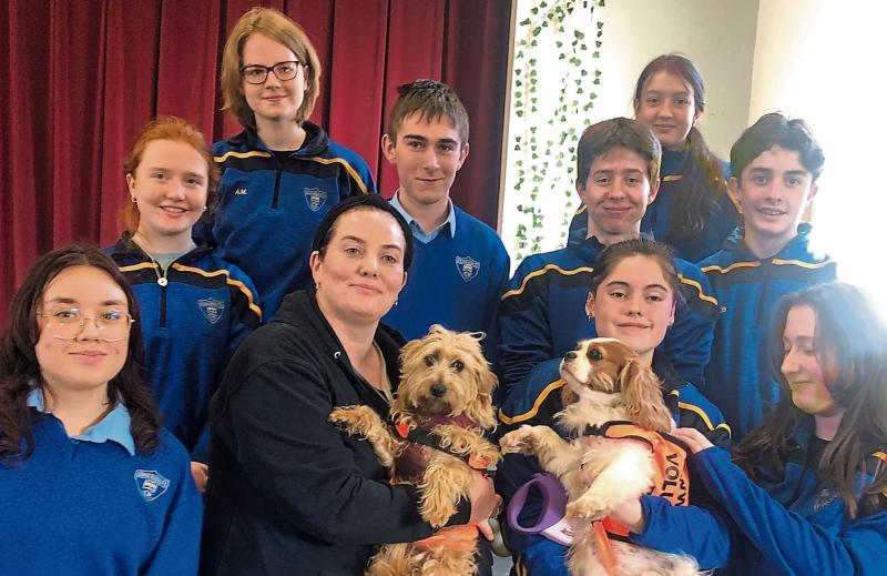 Kind hearted Kildare students organise KWWSPCA fundraiser - Kildare Now