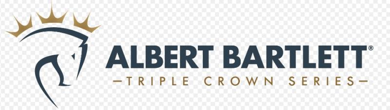 €100,000 Albert Bartlett Series boost for Punchestown - Kildare Now