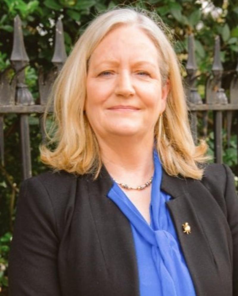 Permission granted for extension of DART rail system to Kildare ...