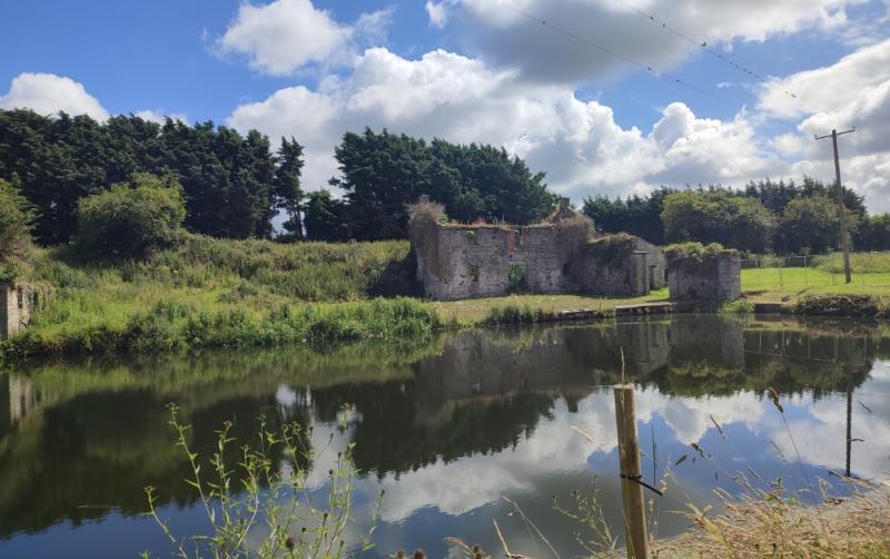 Kildare County Council launch public survey for Corbally Canal & Liffey ...