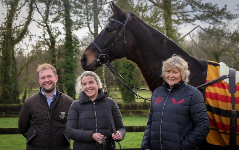 Irish National Stud welcomes Gold Cup hero to legends paddock in ...