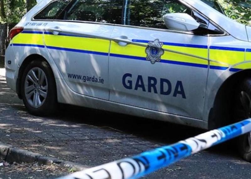 Witness appeal launched by gardaí following ‘serious’ road traffic collision in Kildare ...