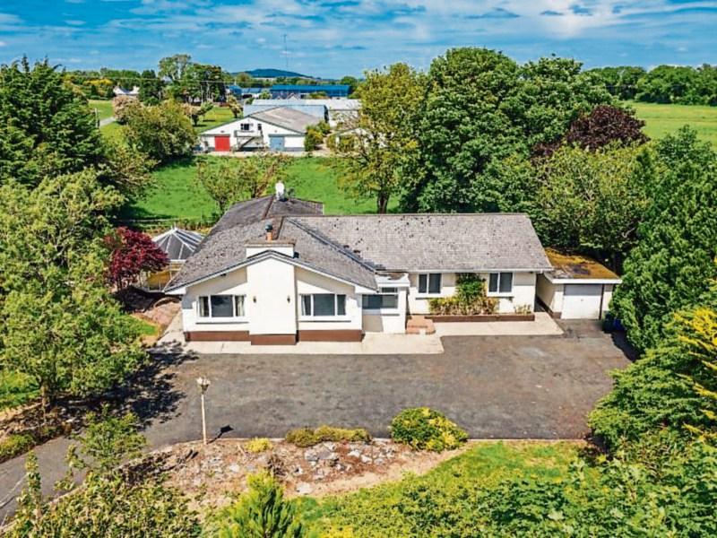 Kildare Property Watch: Curragh equestrian property has lots to offer ...