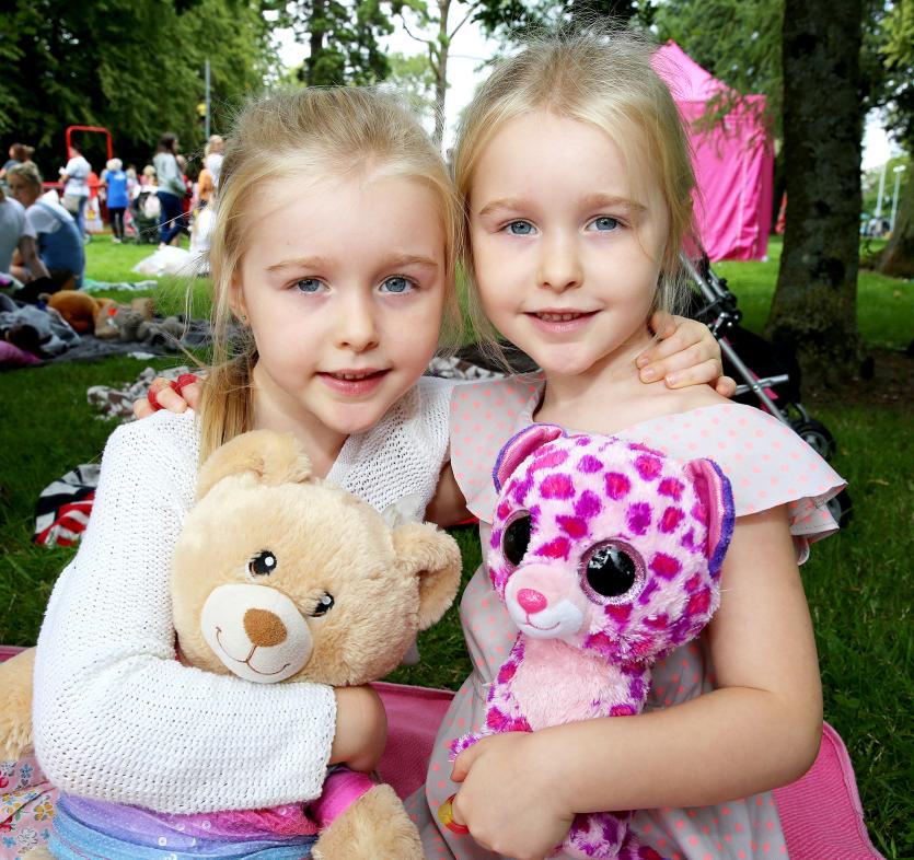 Teddy Bears Picnic at the Peoples Park, Athy - Photo 1 of 10 - Kildare Now