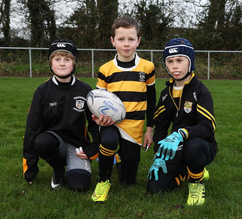 PICTURES: Girls and boys give rugby a 'try' at Newbridge RFC - Photo 1 ...