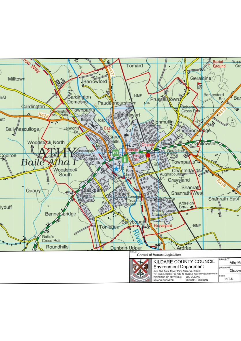 New bye-laws proposed to prevent Athy residents from keeping horses in ...